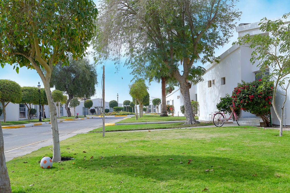 Furnished Luxury Villas for Families in Nada Farm Village, Nada ...