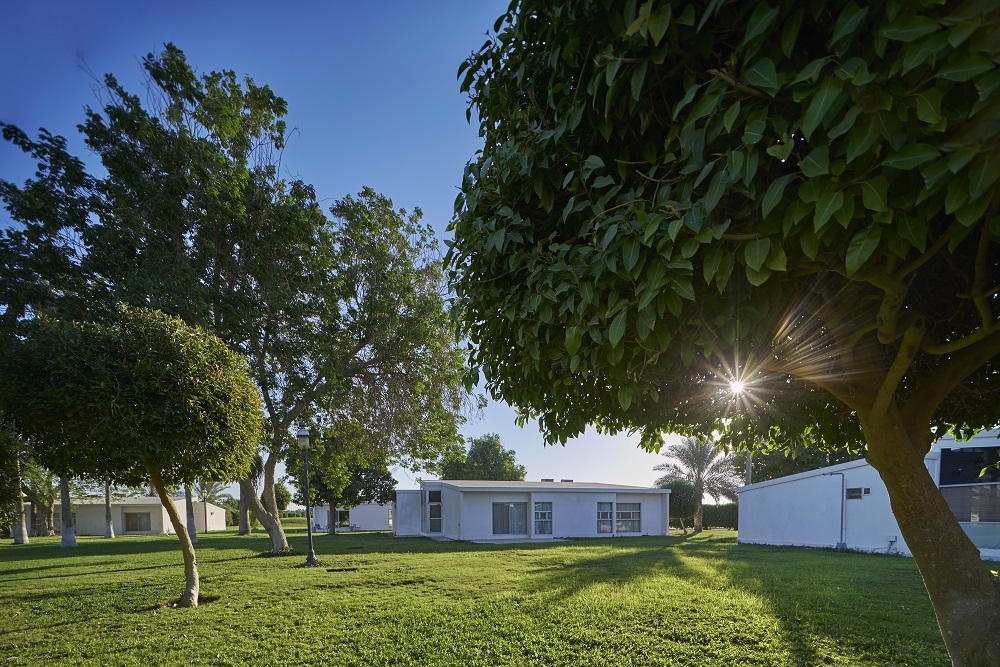 Furnished Luxury Villas for Families in Nada Farm Village, Nada ...